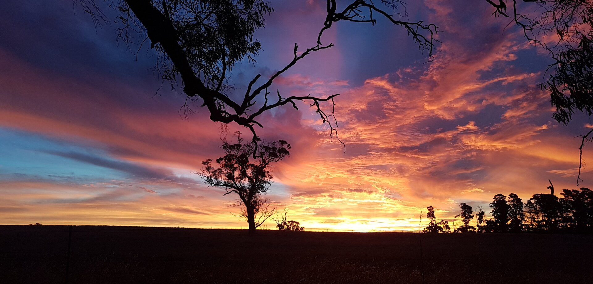 Flaxman Wines | Eden Valley Winery / Cellar Door Flaxman